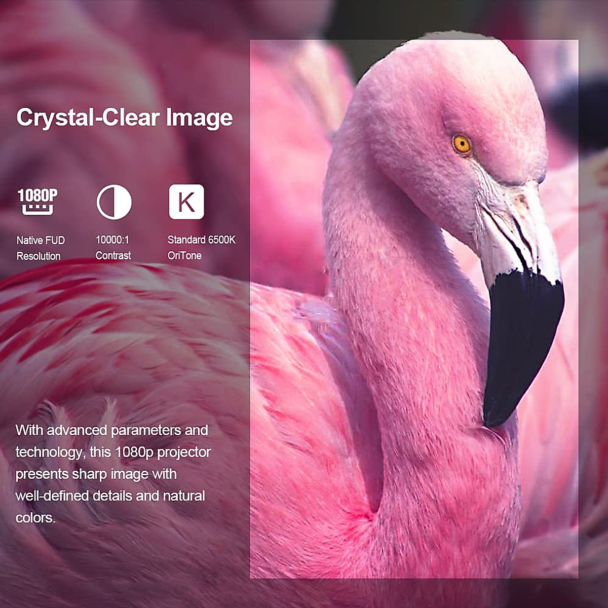 Native 1080P 2.4/5G WiFi Bluetooth Projector, 10000LM Ultra HD Outdoor Movie Projector Wireless iOS/Android Sync Screen & Zoom, 4K Home Theater Video Projector with HDMI/USB for Laptop DVD TV Stick PC