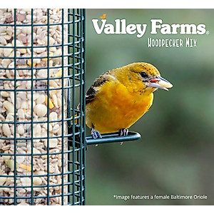 Valley Farms Woodpecker Mix Wild Bird Food, No Mess Bird Seed for Outdoor Feeders, W/Peanuts and Sunflower Hearts for Birds, Woodpecker Food, Attract All Bird Species (4 LBS)