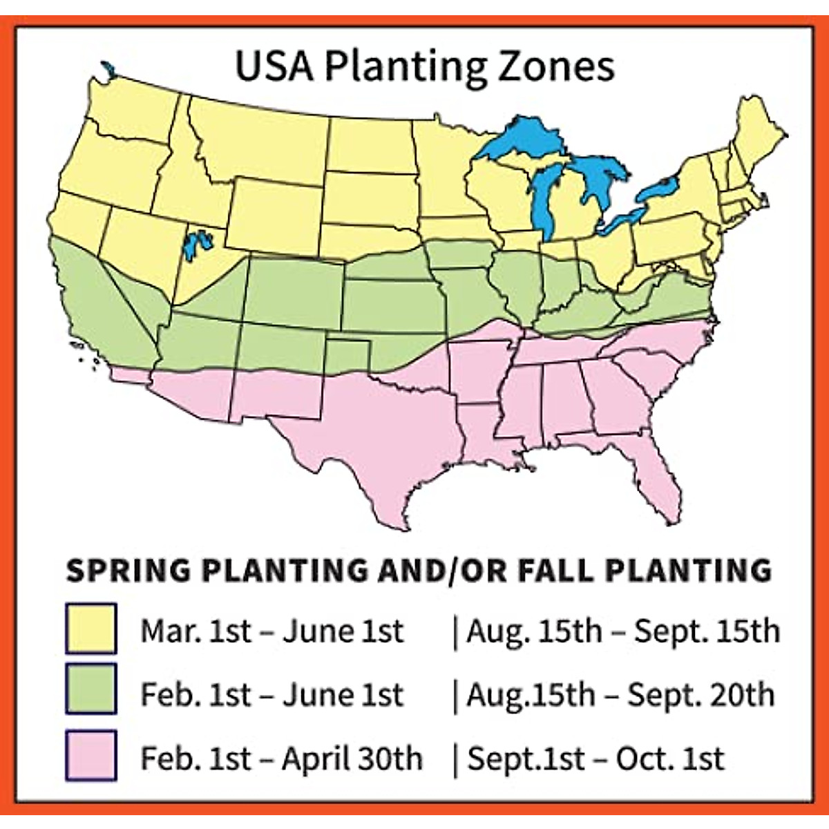 Antler King Booner Buffet Perennial Food Plot | 3 lb Bag Contains Two Varieties of Alfalfa Plus Clover & Chicory | Plants 1/4 Acre