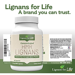 Lignans for Life & K9 Select Pet Care Bundle - HMR Lignans 20mg, 90 Capsules - Melatonin & 3mg, 120 Peanut Butter Flavored Tablets - Multivitamin Dog Wellness Supplement Treats - Medium Size Dog Breed