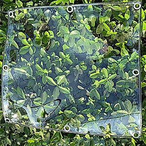 PVC Plastic Cloth, Outdoor Waterproof Tarpin, Multifunctional Windproof Torrent, Iletted Folding Thickness 0.35mm, Thin Rooftop Greening House Garden Garden House Agriculture Cleaning Vegetable Agricu