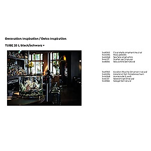 biOrb Sea Fan Small White