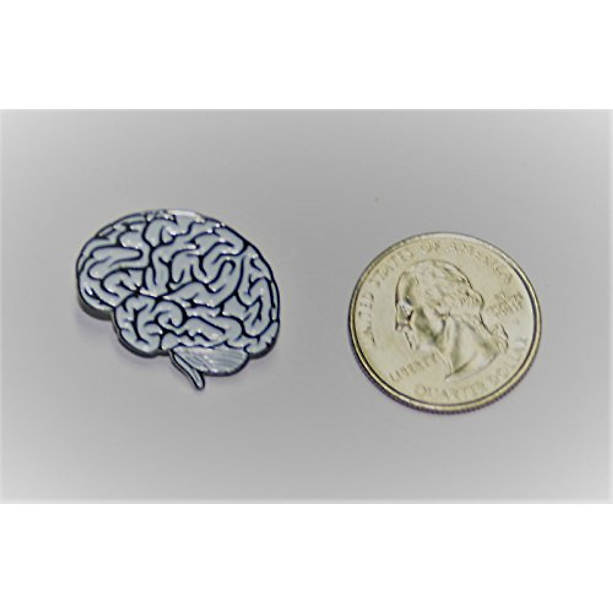 Lateral View Brain Pin