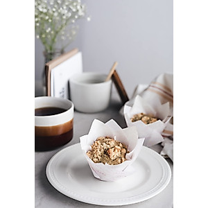 Ashleigh's Tulip Cupcake Liners - 100 Blush Ferns Cupcake Wrappers, Baking Cups, Muffin Cups, Cupcake Cups