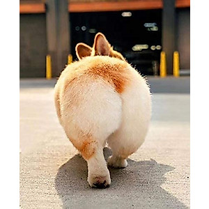 CN'Dragon Toys Corgi Cute Butt Throw Pillow Animals Stuffed Toy