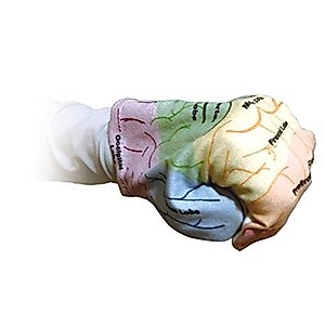Handy Brain Model B-2 (large)