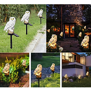 TCJJ Solar String Lights Outdoor Crystal Globe Garden Lights with 8 Lighting Modes, Waterproof Decorative Solar Powered Patio Hanging Lights for Yard Porch Wedding Christmas Party (Owl)