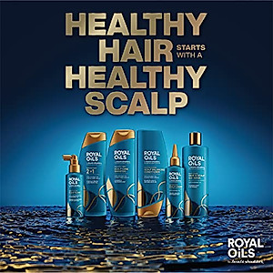 Head & Shoulders Royal Oils Shampoo and Conditioner Set �� Includes Anti-Dandruff Scalp Care Shampoo (12.8 Fl Oz.) & Moisture Renewal Scalp Balancing Conditioner, Hair Treatment for Curly & Coily Hair