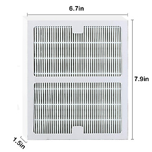 HEPA Filters B Compatible with Idylis AC-2125, AC-2126, IAP-10-125, IAPC-40-140, IAP-10-150, IAP-10-050 Air Purifiers, Model #IAF-H-100B, 2 HEPA Filters & 4 Carbon Pre-filters