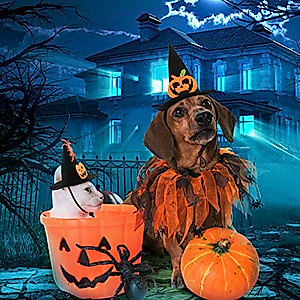 6 Pcs Dog Costumes Cat Witch Costume Suit Include Pet Pumpkin Witch Hat Halloween Cat Collar with Bells Dogs Cats Tutu Skirt for Pets Kitten Puppy Birthday Holiday Outfit