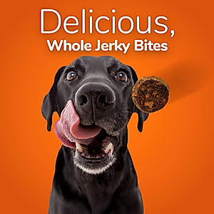 Fruitables Healthy Dog Treats – Whole Jerky Bites for Dogs – Alaskan Salmon & Pear Flavored – 5 Ounces