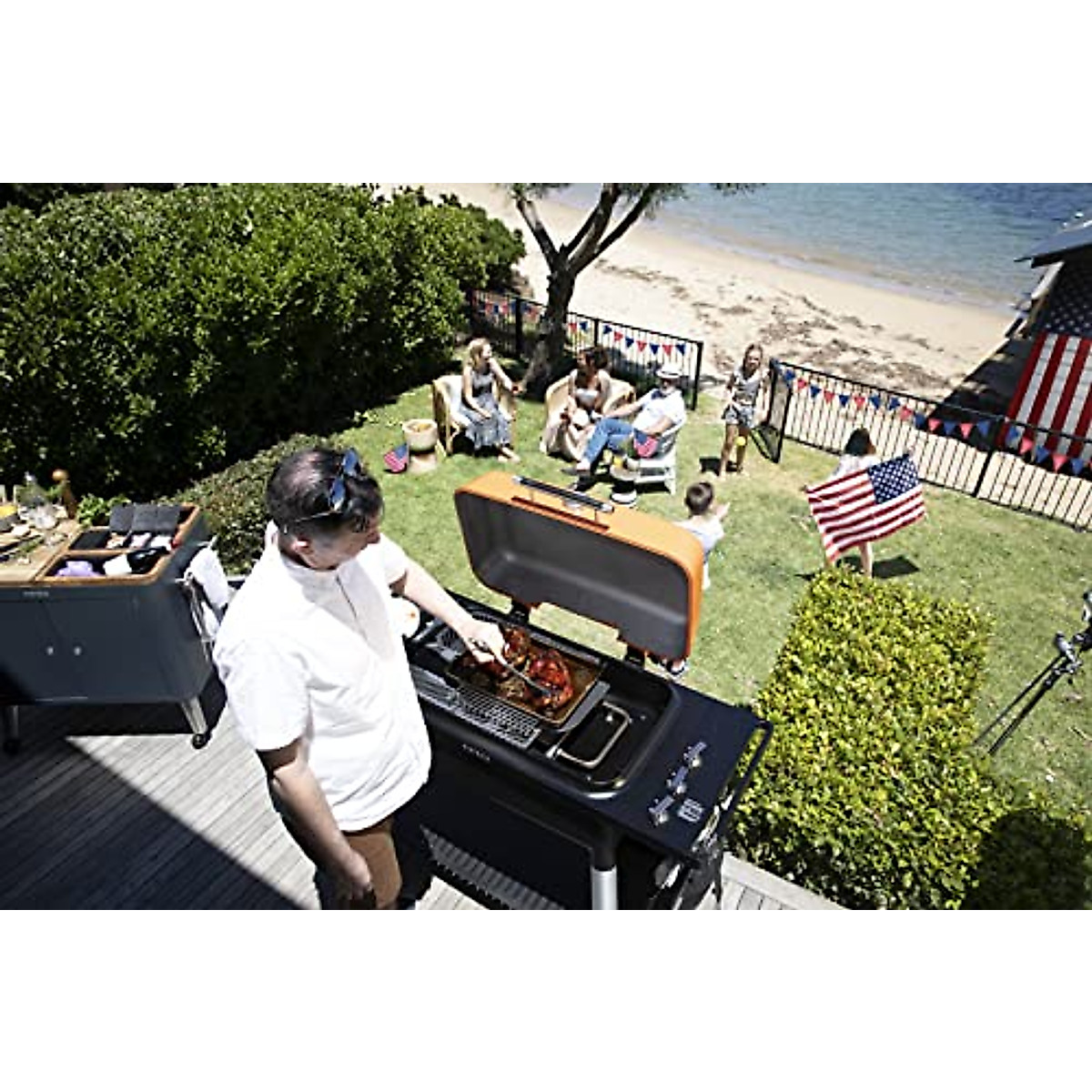 Everdure FURNACE 3-Burner Gas Grill, Liquid Propane Portable BBQ Grill with Die-Cast Aluminum Body and Fast-Ignition Technology, 466 Square Inches of Grilling Surface, Adjustable Height, Matte Black