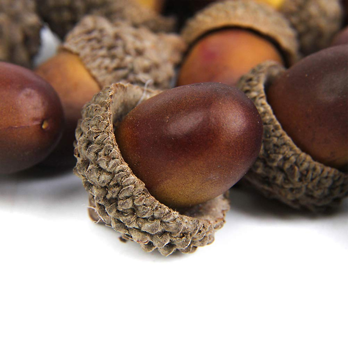 Artificial Acorns 60pcs Lifelike Simulation Acorn with Natural Cap Small Lifelike Acorns Simulation Fruit Props for DIY Crafting Wedding Festival Party Favor