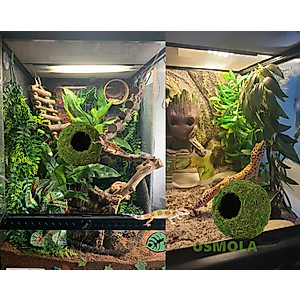 USMOLA Mossy Caves, Artificial Green Moss Caves Hide for Pet Reptile Frogs and Snakes, Terrarium & Vivarium Decor, Crested Gecko Tank Decor (4" - Woodland Green)