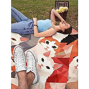 Funny Cats Blanket Special Blanket Gift for Woman Man Boys Girls, Soft Flannel All Season Home Room Bed Couch Sofa Living Dorm X-Small 40 x 30 Inch for Toddlers/Pets.