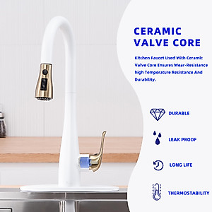 HGHGK Kitchen Faucet with Soap Dispenser and Pull Down Sprayer - Stainless Steel Single Handle Kitchen Sink Faucet, 1 or 3 Hole Design for Modern Farmhouse Kitchens, Rv, and Bar Sinks (Whit and Gold)