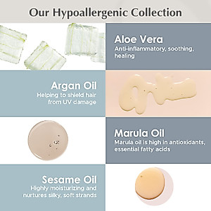 THEORIE PURE Hypoallergenic Travel Set - Shampoo and Conditioner- Plant-Based, Ultra Gentle Clean Beauty Formulas for Sensitive Skin, Fragrance, Sulfate, Gluten & Paraben Free - 90 mL