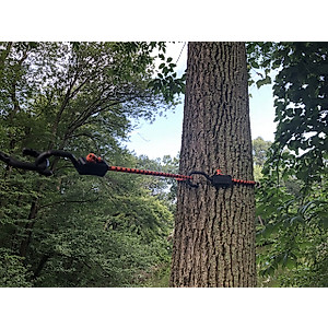 Kotap MABC-24 All- Purpose Adjustable Bungee Cords with Hooks, 24-Inch, Orange/Black, 10 Count