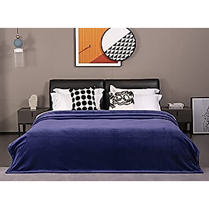 Mellowdy Extra Thick Hearty Plush Flannel Blanket (Violet Purple, 60x80) - 500GSM Twin Size Warm Blanket for Winter, Fall | Soft, Fluffy, Cuddly, Perfect for Bed, Oversized Throw for Couch, Sofa