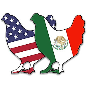 Coops & Feathers Roosting Perch-A Perfect Bird's Eye View (Small)