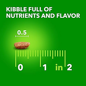 IAMS Smart Puppy Large Breed Dry Dog Food with Real Chicken, 15 lb. Bag