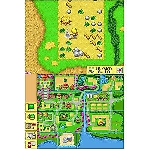 Harvest Moon DS Cute (Renewed)
