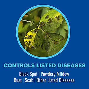 BioAdvanced All-in-One Rose & Flower Plant Care, Ready-to-Use, 24 oz