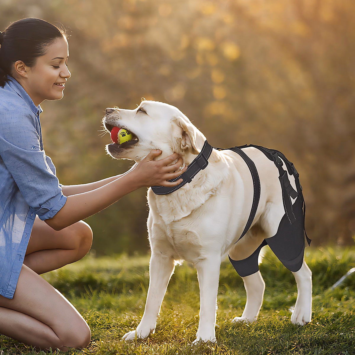 PLKO Dog Knee Brace with Side Stabilizers - Support for ACL, Knee Cap Dislocation, Arthritis - Warmth, Stability, and Pain Relief(Size: XXXL)