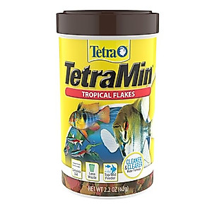 TetraMin Nutritionally Balanced Tropical Flake Food for Tropical Fish, 2.2 oz