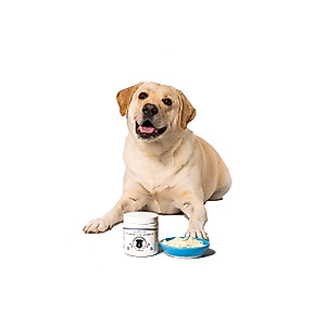 Canine Colostrum Immune Support for Dogs, Gut Health 5.5 oz powder