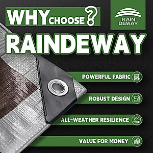 Tarps Heavy Duty Waterproof 6x8 Feet, 10Mil Multipurpose Small Tarp Cover with Metal Grommets and Reinforced Edges, Silver/Brown Tarp by RAINDEWAY