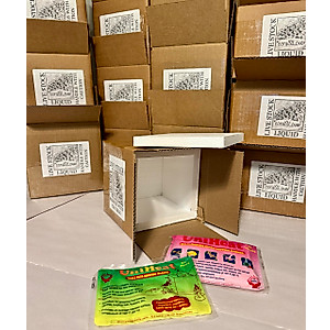 coralSLover Live Saltwater Corals, Brand, Coral Decor for Aquarium, Livestock, Reef, Marine, Turbinaria Purple Scroll Coral