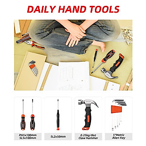 DIFFLIFE Tool Sets Household Tool Kit 15-Piece,General Home/Auto Repair Tool Set with Hammer, Pliers, Screwdriver Set and Toolbox Storage Case - Perfect for Homeowner, Diyer, Handyman (15-Piece)…