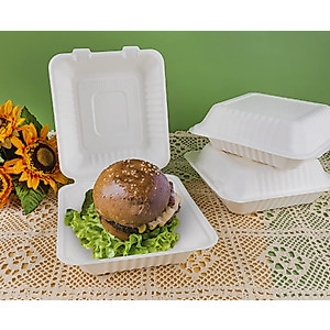 Azure Zone, 8 Inch, 1-Compartment Compostable Disposable Clamshell, 200 Pack, Eco Friendly, Biodegradable Made of Sugar Cane Fibers