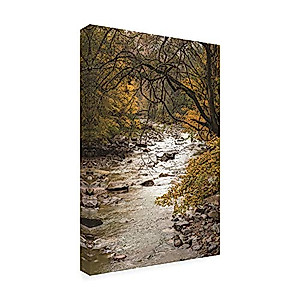 Trademark Fine Art, 16x24 Yellow Maples Along The River by Kurt Shaffer Photographs