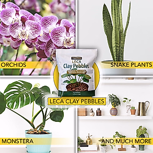 Harris LECA Expanded Clay Pebbles for Plants, 2.5lb for Indoor, Outdoor and Hydroponic Growing Brown