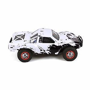 SummitLink Custom Body Eagle Style Compatible for 1/10 Scale RC Car or Truck (Truck not Included) SS-EAG-03