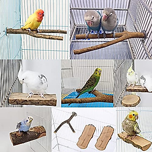 Hamiledyi 4 Pcs Wood Bird Perch Platform Branches Natural Wooden Parrot Stand Paw Grinding Sticks Bird Cage Accessories for Parrots Parakeets Budgies Conures Cockatiels Lovebirds