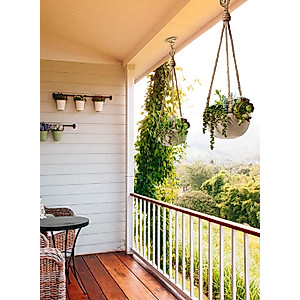 Serene Spaces Living Paulownia Hanging Wood Bowl with Jute Rope, Hanging Faux Succulent and Artificial Plants, Ideal for Home, Garden, Office Decor, Measures 4.5" Tall and 9.25" Diameter