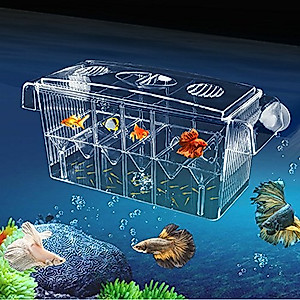 4 Rooms HD Fish Breeding Box Aquarium Breeding Box, Breeder Box for Fish Tank, Double Hatching Incubator Isolation Box for Guppy Baby Fish Hatchery