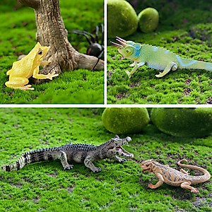 Toymany Reptile Animal Figurine Toys Set, 12 PCS Desert Amphibians Animal Figures with Komodo Dragon Lizard Snake Chameleon Rainforest Cold Blooded Animals Figures Party Favor for Kids