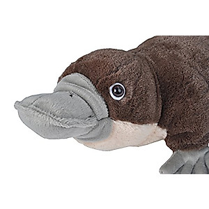 Wild Republic Platypus Plush, Stuffed Animal, Plush Toy, Gifts for Kids, Cuddlekins 12 inches