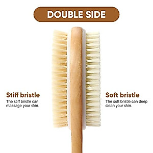 Shower Brush with Soft and Stiff Bristles, Long Handle Back Brush Dual-Sided, Wet & Dry Brush for Cellulite and Lymphatic