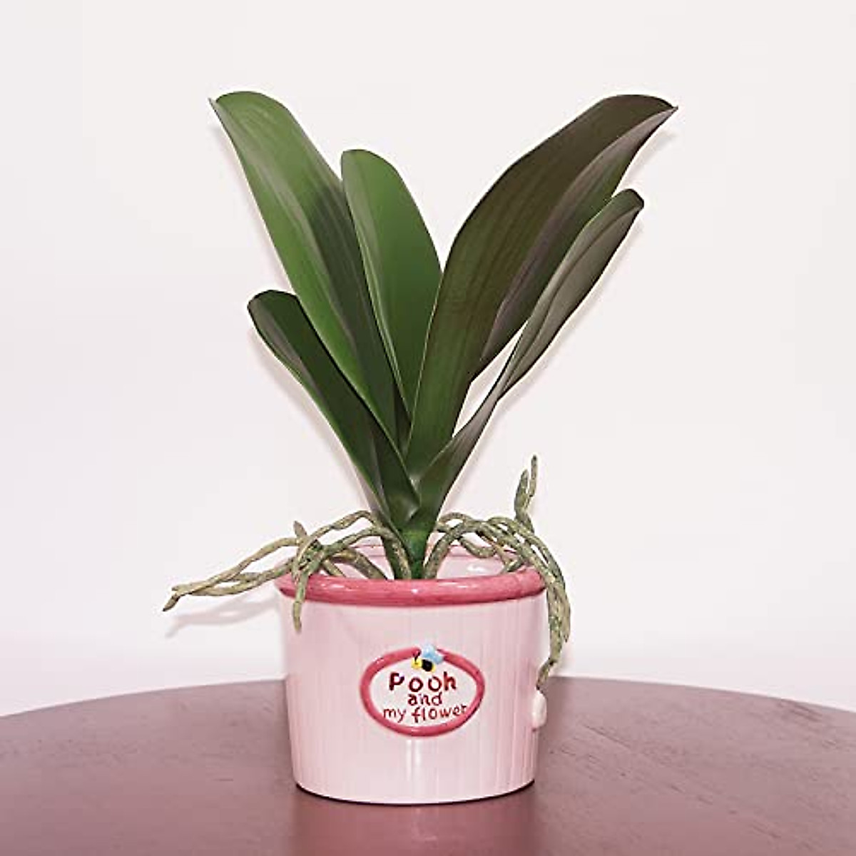 Qianmo Artificial Orchid Leaf Plants PU Latex Real Touch Faux Leaves Arrangement Home Décor Office Garden Bonsai Decoration Flowers (Big Size (3 Bunches))