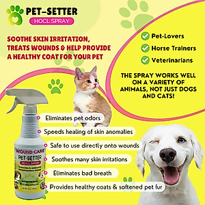 Pet-Setter Animal Wound and Skin Care Spray for all Pets Dog and Cat Cleanser Will Soothe Skin Irritations Treat Cuts Provide Itch Relief Eliminate Pet Odor Even Bad Breath Made in USA 16 Oz