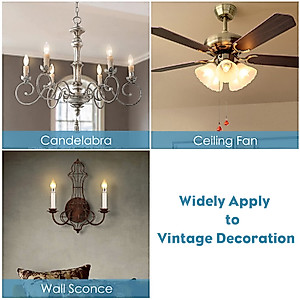 SHUWDKAR 2W LED Candelabra Bulb 25W Equivalent E12 Dimmable LED Bulbs Clear Filament Vintage Home Decoration Candle Light Bulbs B11 2700K Warm White,6 Pack