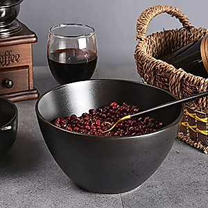 16 Piece Dinnerware Set Service for 4, Round Black Matte Dishes Sets, Includes 4 Dinner Plates 4 Salad Plates, 4 Bowls and 4 Mugs