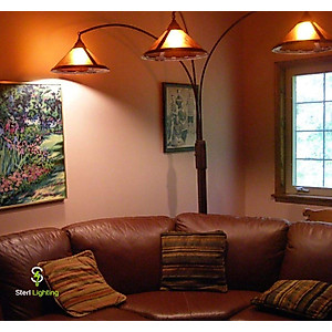 Sterl Lighting 70w Par38 High Output 90 Watt Replacement PAR38 Halogen Dimmable Floodlight E26 Base 120V 4.8In 800 Lumens Canister Spot Light Outdoor Flood Light Bulbs 70PAR38/FL 2700K WW Clear 2 Pack