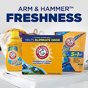 Arm & Hammer Powder Laundry Detergent - Alpine Clean - 155 Loads