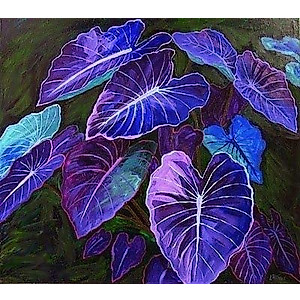 MITRAEE Fresh 100pcs Caladium Bicolor Flower Seeds for Planting Blue Mix